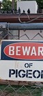 Beware Of Pigeon 8" x 12" Vintage Aluminum Retro Metal Sign VS331 | eBay